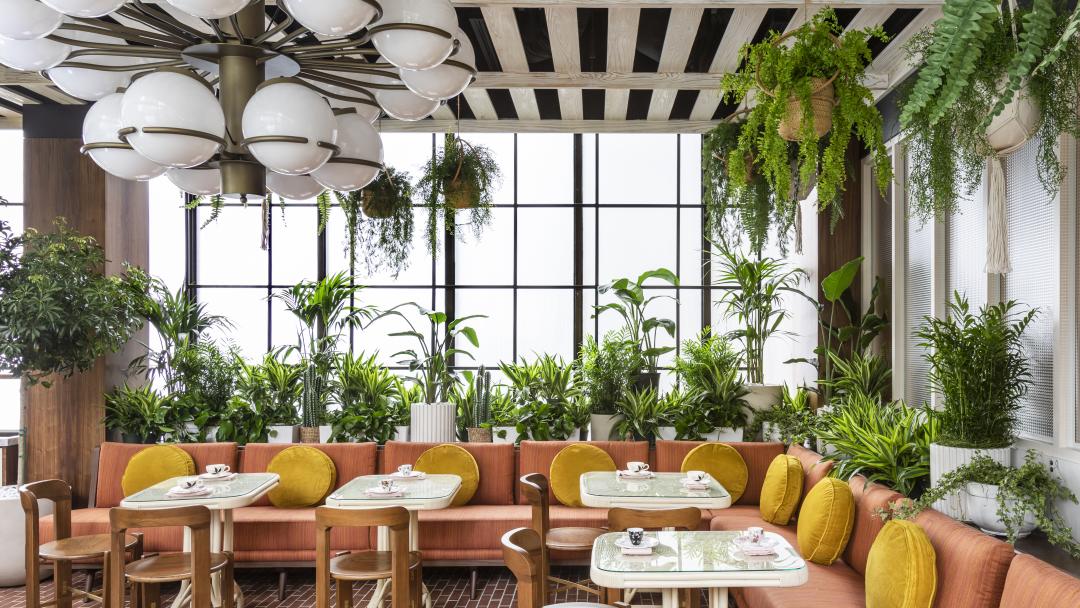 Must-Try Restaurants in Houston - In Houston City